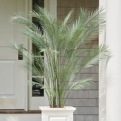 Tropical Palm Tree | Grandin Road