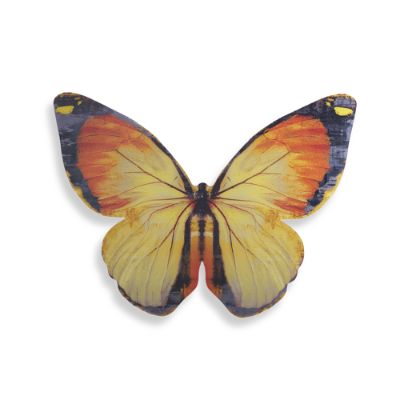 Acrylic Butterfly Art | Grandin Road