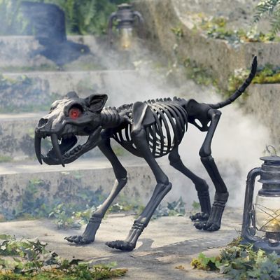 Animated Saber Tooth Tiger Skeleton | Grandin Road