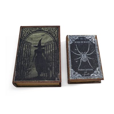 Vintage Halloween Book Box Set Of Two Grandin Road