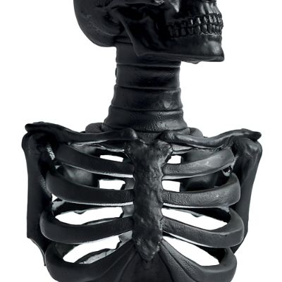 Pre-lit Skeleton Bust | Grandin Road
