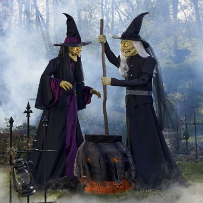 Deluxe Animated Brewing Witch Duo | Grandin Road