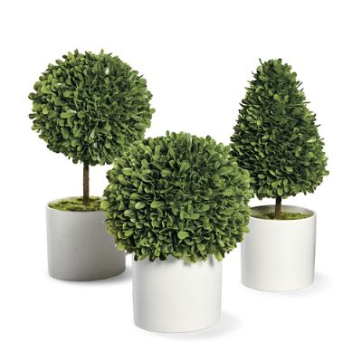Tabletop Topiaries, Set of Three | Grandin Road