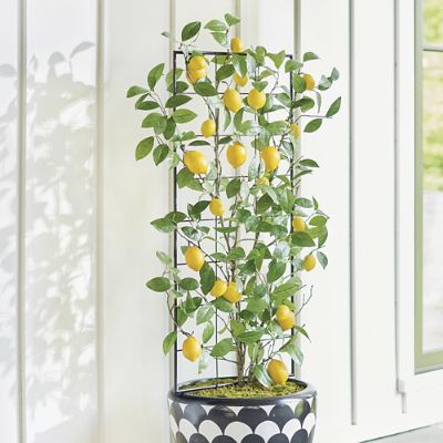 Lemon Trellis Urn Filler | Grandin Road