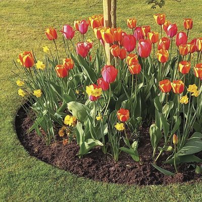 Everedge Tree Ring | Grandin Road