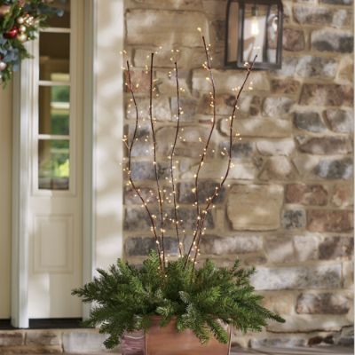 Pre-lit Twigs, Set of Five | Grandin Road