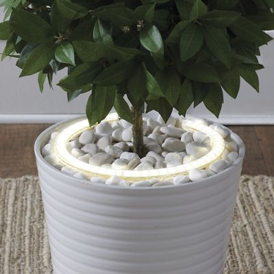 Planter Ring Light, Set of Two | Grandin Road