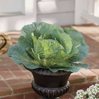 Oversized Cabbage Urn Filler | Grandin Road