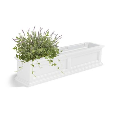 Herbs and Greens Window Box Filler | Grandin Road
