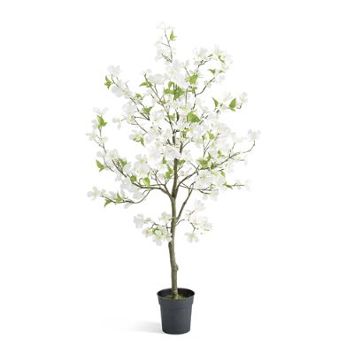 Dogwood Potted Tree | Grandin Road