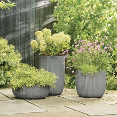 Crete Pot Planter | Grandin Road