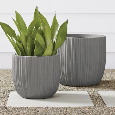 Crete Pot Planter | Grandin Road