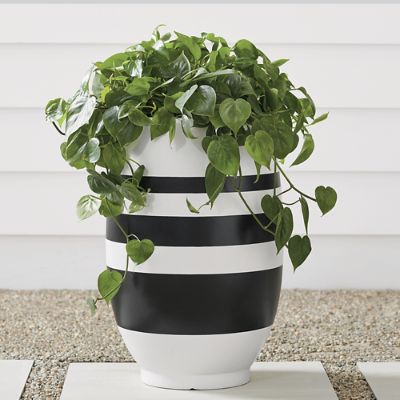 Serena Tall Planter | Grandin Road