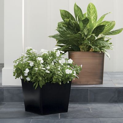 Stainless Steel Short Tapered Planter | Grandin Road