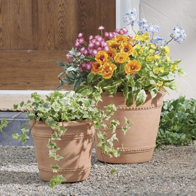 Terracotta Pot Planter | Grandin Road