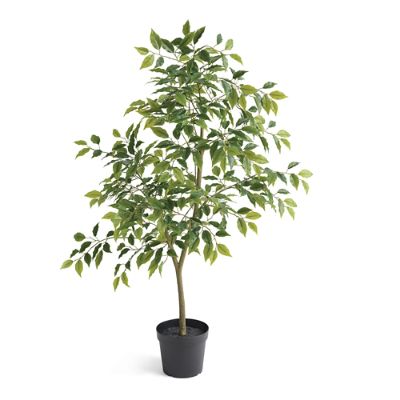 Eco Convert Ficus Tree | Grandin Road
