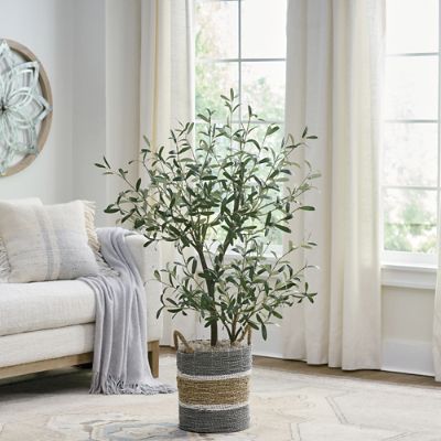 Eco Convert Olive Tree | Grandin Road