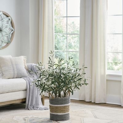 Eco Convert Olive Tree | Grandin Road