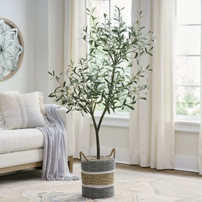 Eco Convert Olive Tree | Grandin Road