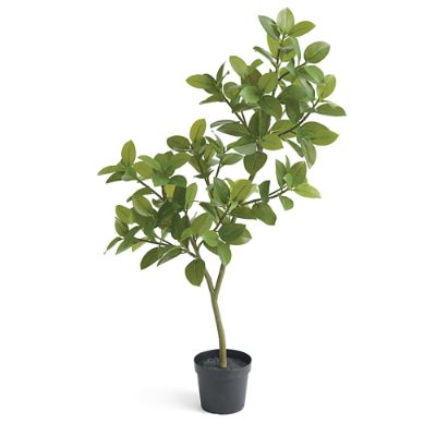 Eco Convert Rubber Tree | Grandin Road