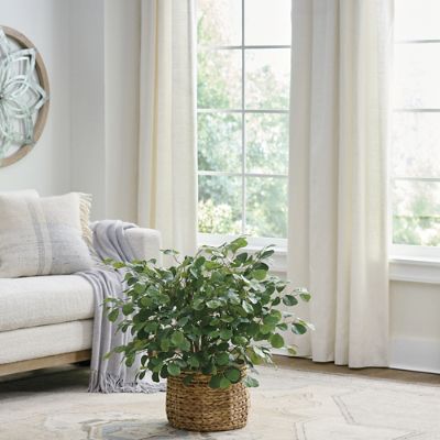 Eco Convert Triangle Fig Tree | Grandin Road