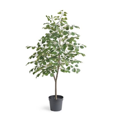 Eco Convert Triangle Fig Tree | Grandin Road