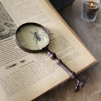 Bat Magnifying Glass | Grandin Road