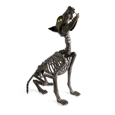 Animated Skeleton Wolf | Grandin Road
