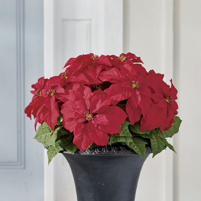 Poinsettia Urn Filler | Grandin Road