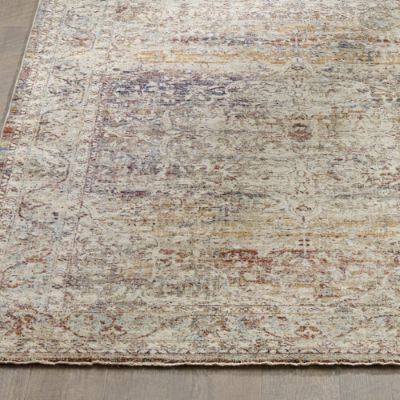 Carmen Traditional Performance Rug | Grandin Road