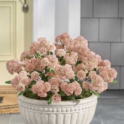 Spring Sedum Urn Filler | Grandin Road