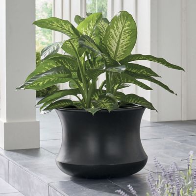 Curtis Pot Planter | Grandin Road