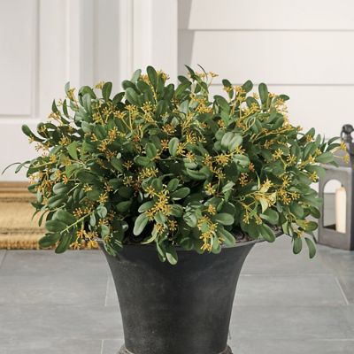 Eucalyptus Seed Urn Filler | Grandin Road