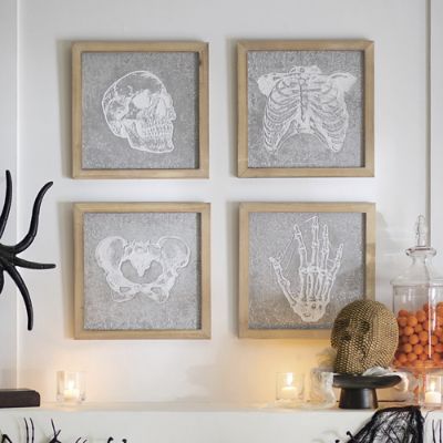 Fossil Skeleton Wall Decor, Set of Four | Grandin Road