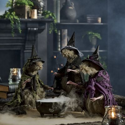 Witch Rat Pack, Set of Three | Grandin Road