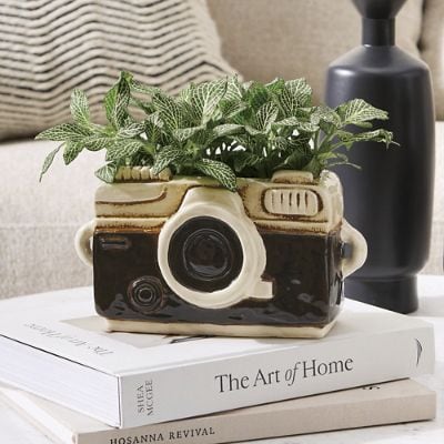 Ceramic Camera Planter | Grandin Road