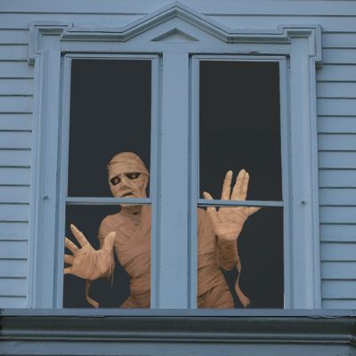 Shady Spiders and Menacing Mummy Window Panels | Grandin Road