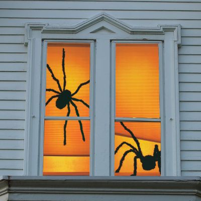 Shady Spiders Window Panels | Grandin Road