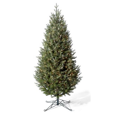 Tuscan Juniper Tree | Grandin Road