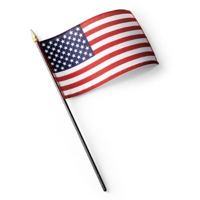 Set of 25 Martha Stewart Parade Flags | Grandin Road