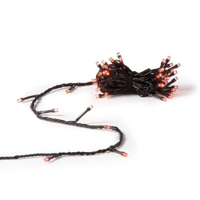 Battery Operated LED Halloween Light Strand | Grandin Road