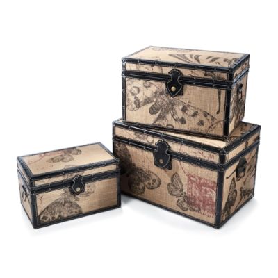 Set of Three Monarch Trunks | Grandin Road