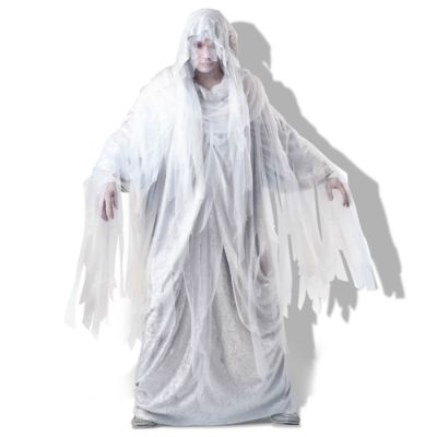 Haunting Spirit Costume | Grandin Road