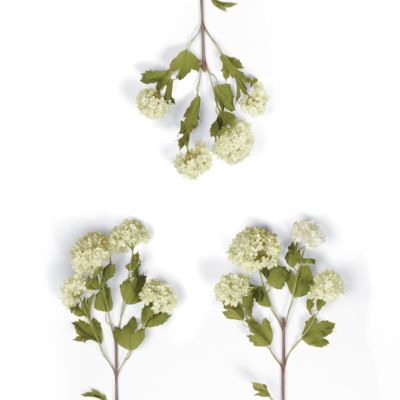 Hydrangea Stems | Grandin Road