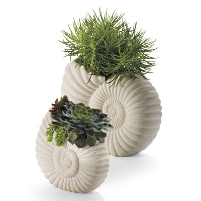Nautilus Planter | Grandin Road