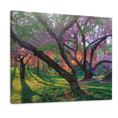 Spring Awakens Outdoor Art | Grandin Road