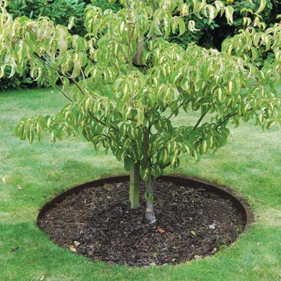 Everedge Lawn Edging | Grandin Road