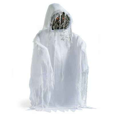 Pop Up Animated Ghost | Grandin Road