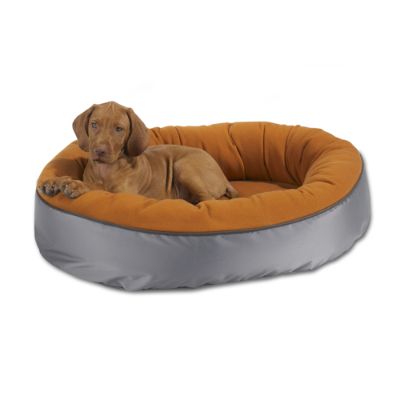 Eco Orbit Pet Bed | Grandin Road