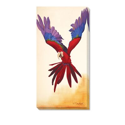 David Bromstad "Parrot" Artwork | Grandin Road